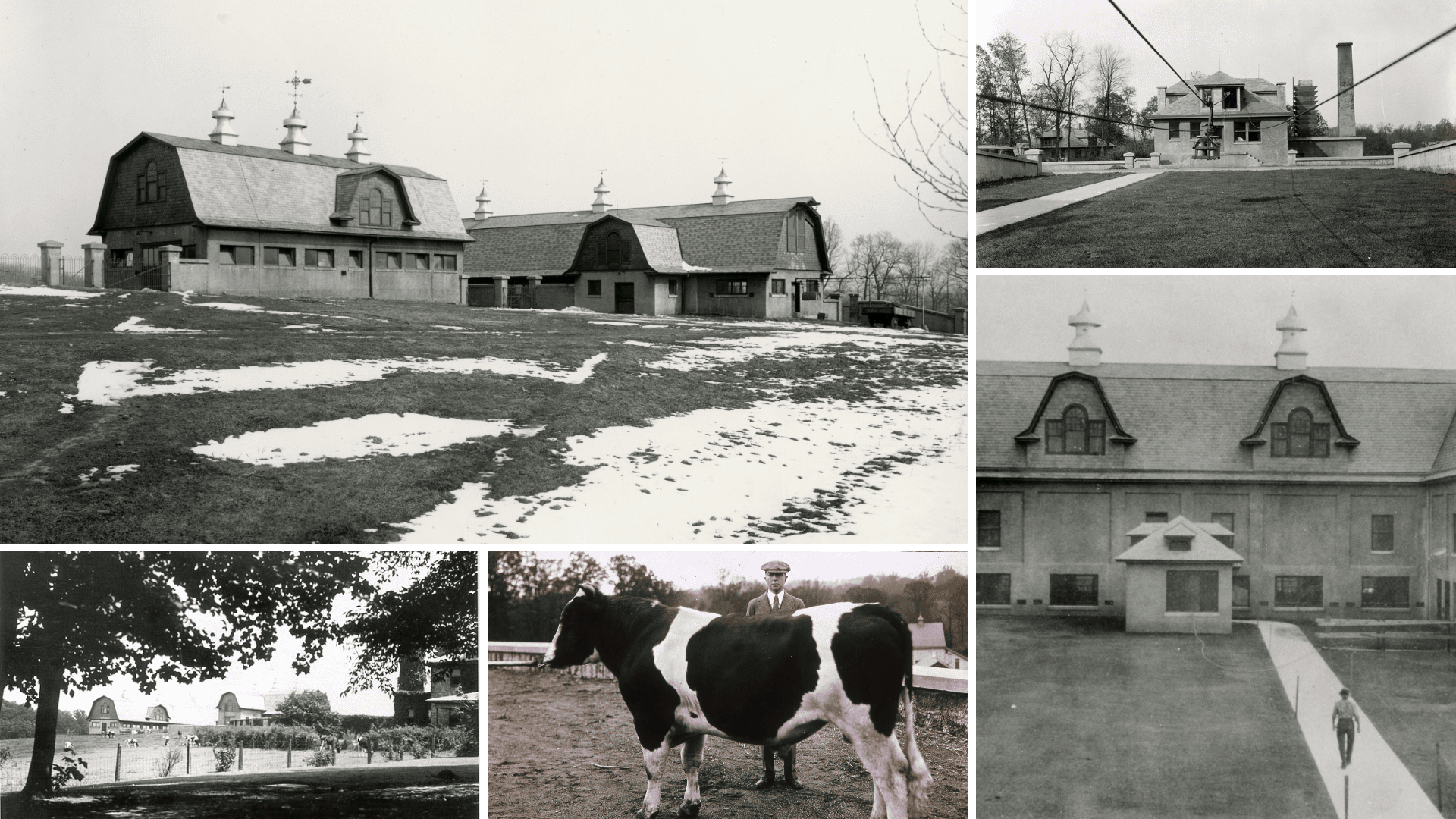 Udderly Magnificent - Winterthur Museum, Garden & Library
