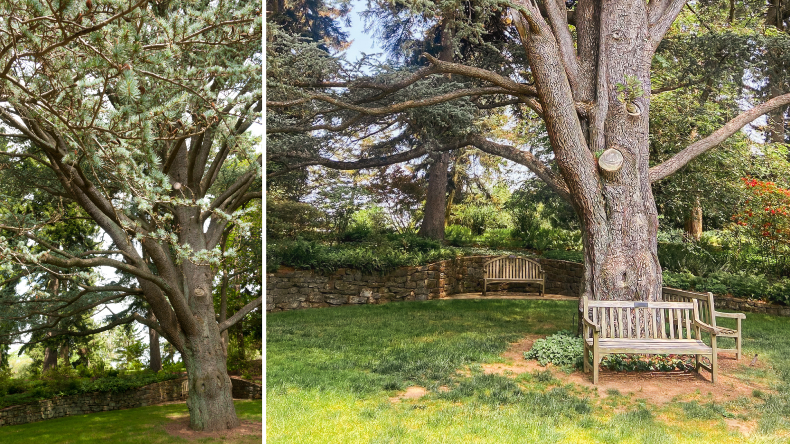 Top Places to Picnic at Winterthur - Winterthur Museum, Garden & Library