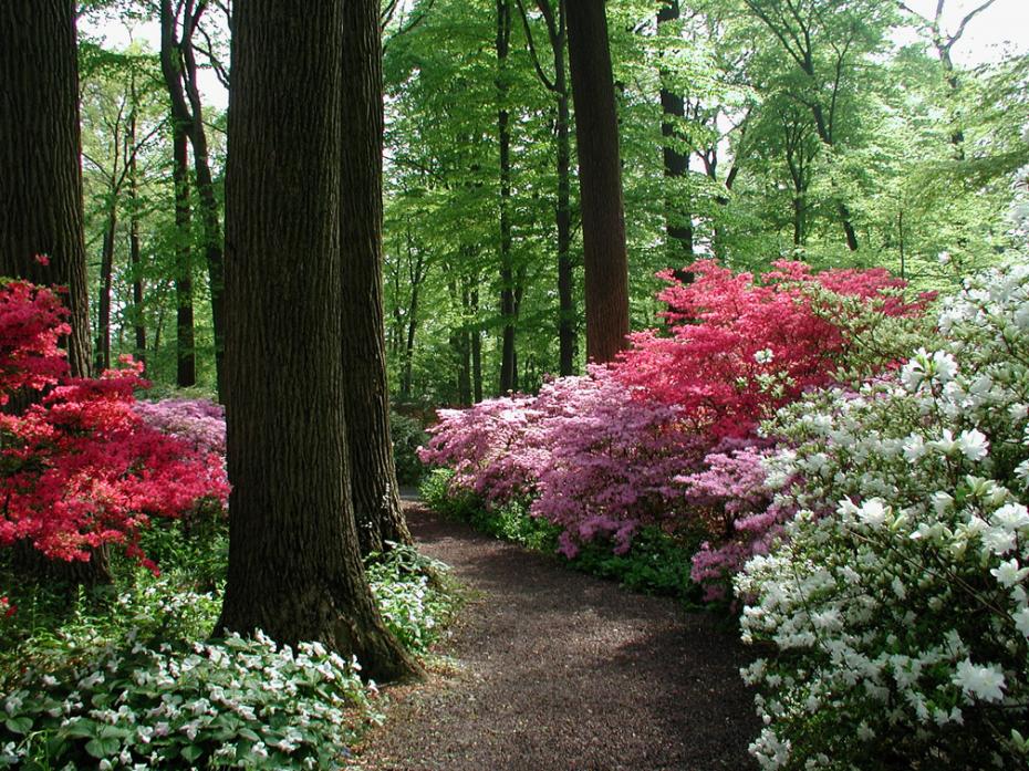 Winterthur Museum, Garden & Library – Winterthur Museum, Garden & Library