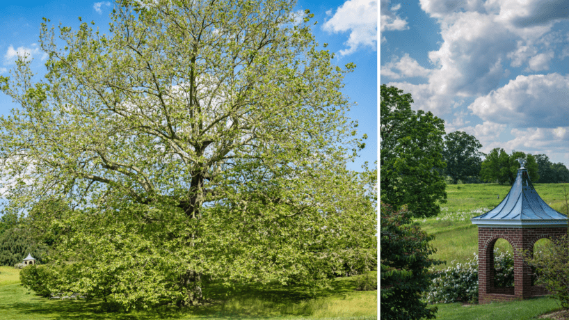 Top Places to Picnic at Winterthur - Winterthur Museum, Garden & Library