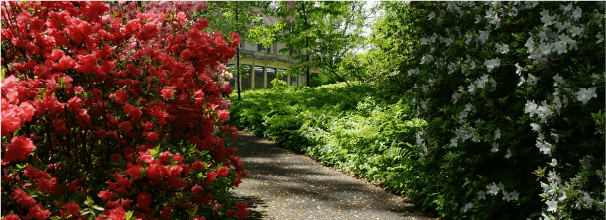 Quilting Freedom “My Way” in Honor of Martin Luther King Jr ...