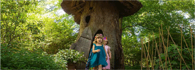 Poison Book Project earns worldwide publicity - Winterthur Museum ...