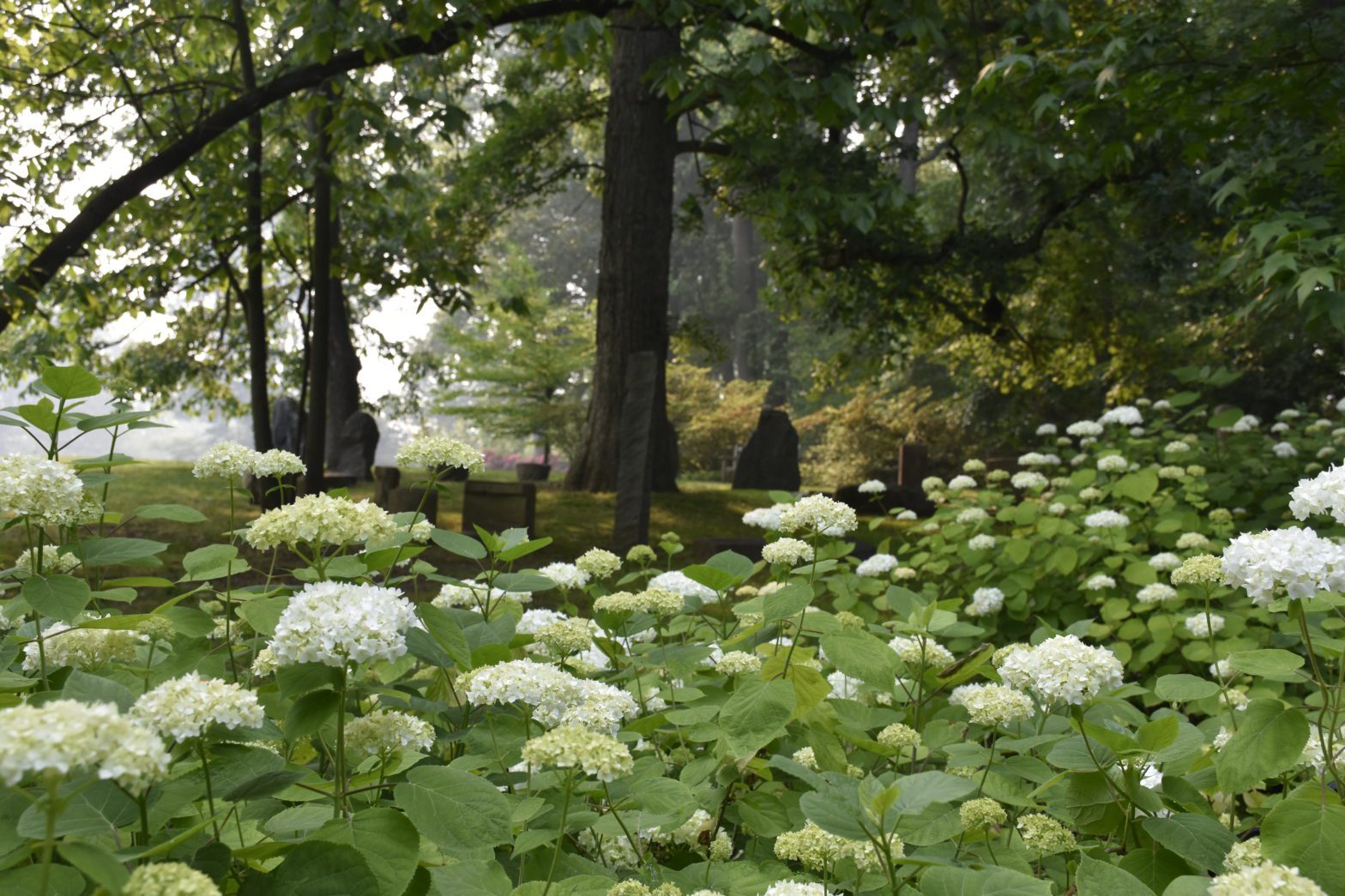 Winterthur Bloom Report #24 - Winterthur Museum, Garden & Library