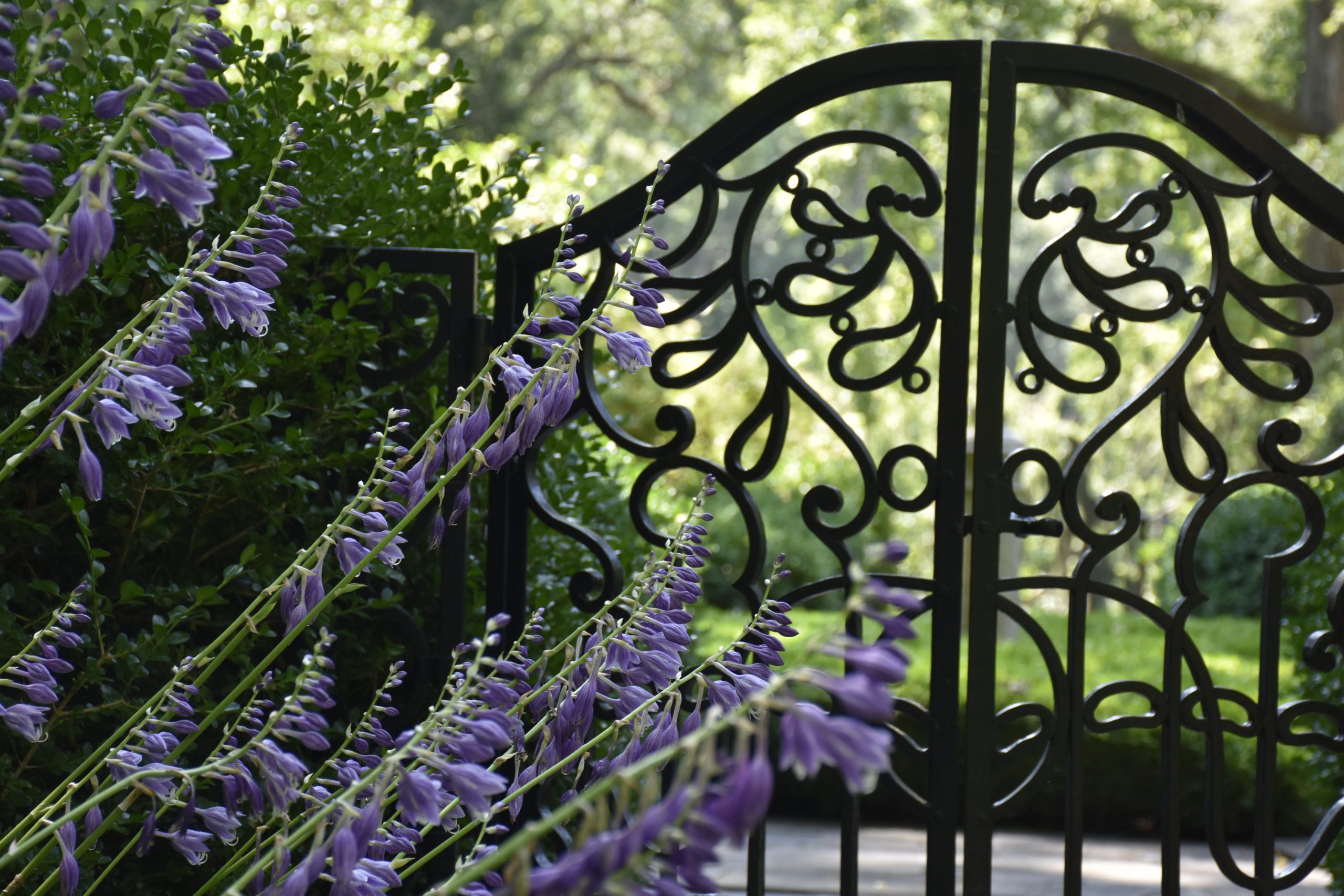 Winterthur Bloom Report 29 - Winterthur Museum, Garden & Library