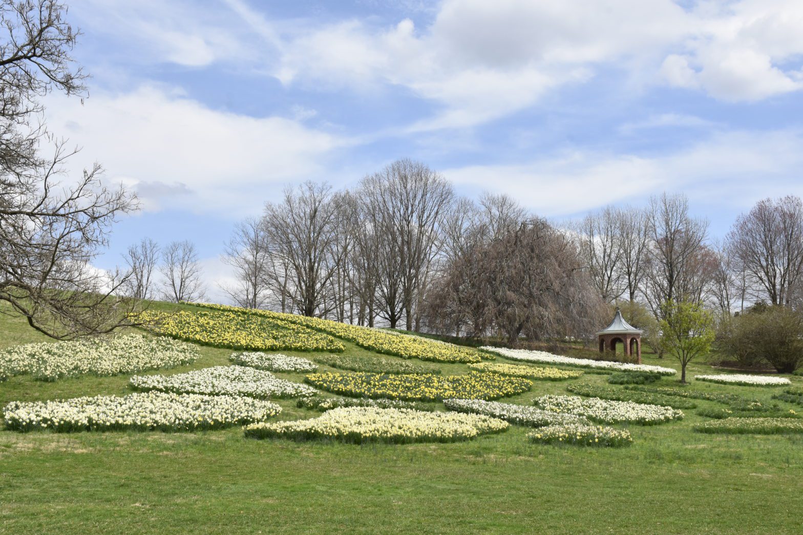Winterthur Bloom Report #14 - Winterthur Museum, Garden & Library