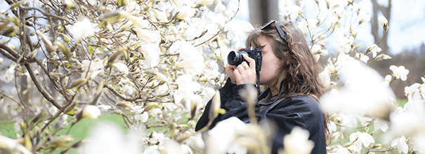 Poison Book Project earns worldwide publicity - Winterthur Museum ...