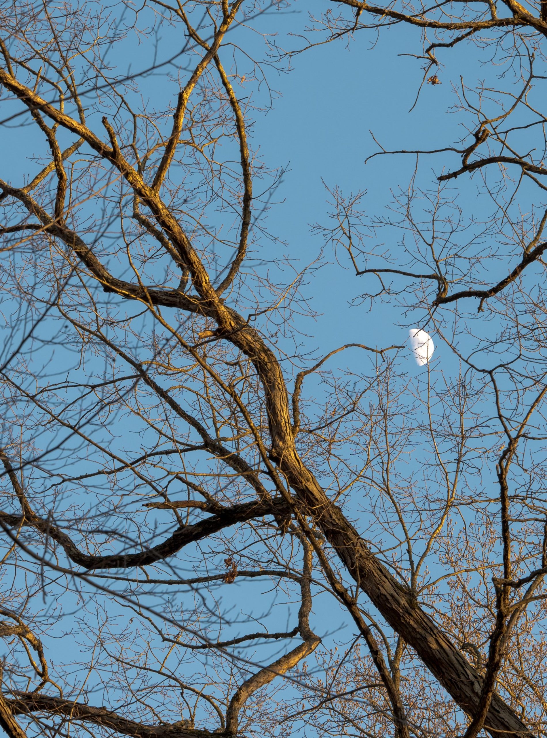 Winterthur Bloom Report 01 - Winterthur Museum, Garden & Library