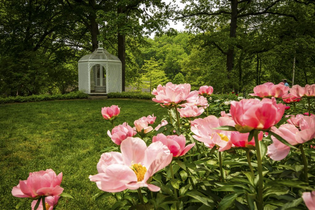 Garden Collection - Winterthur Museum, Garden & Library