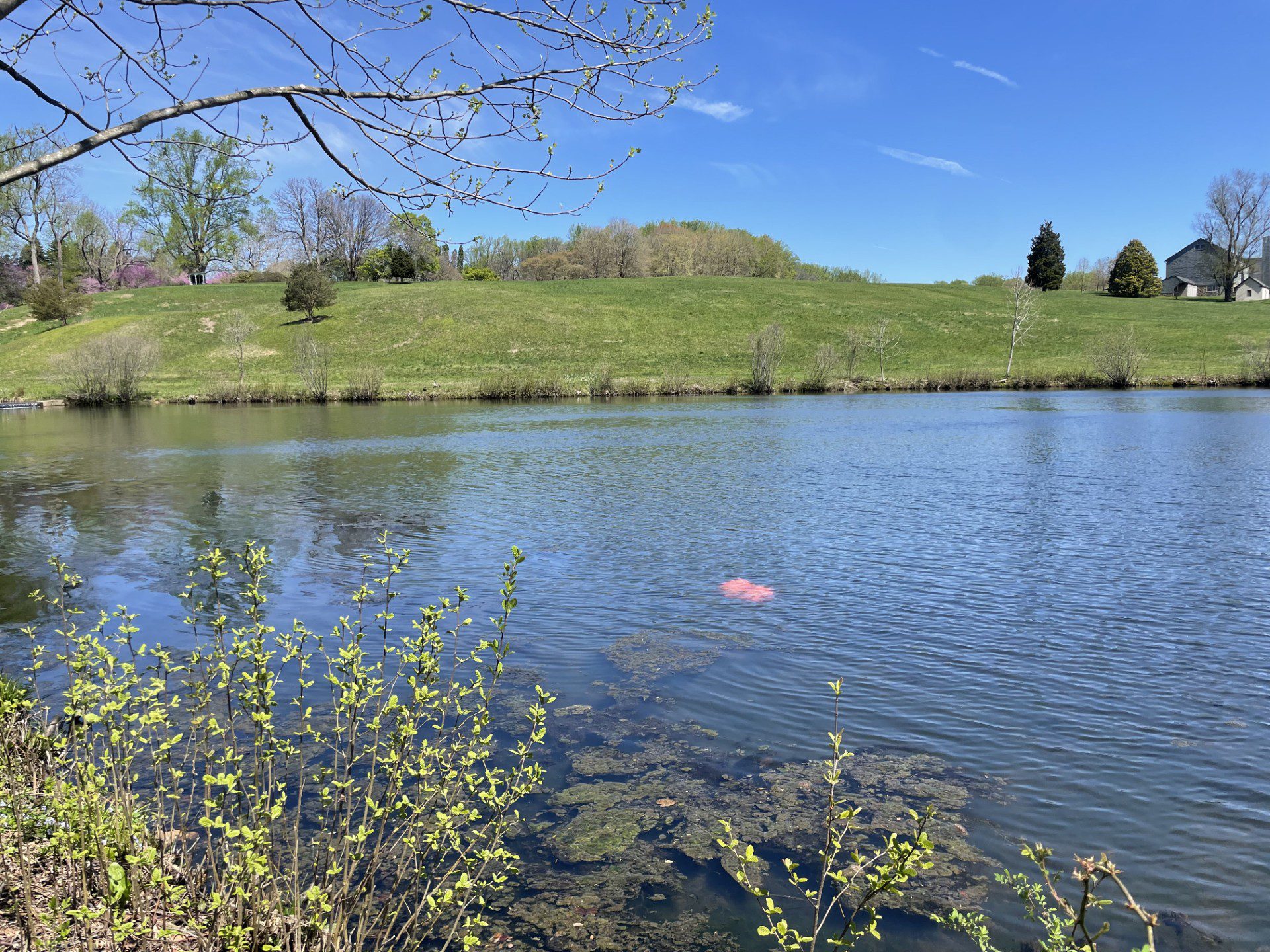 Battling Algae with a Splash of Color - Winterthur Museum, Garden & Library