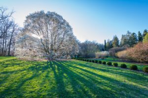 Plan Your Visit - Winterthur Museum, Garden & Library