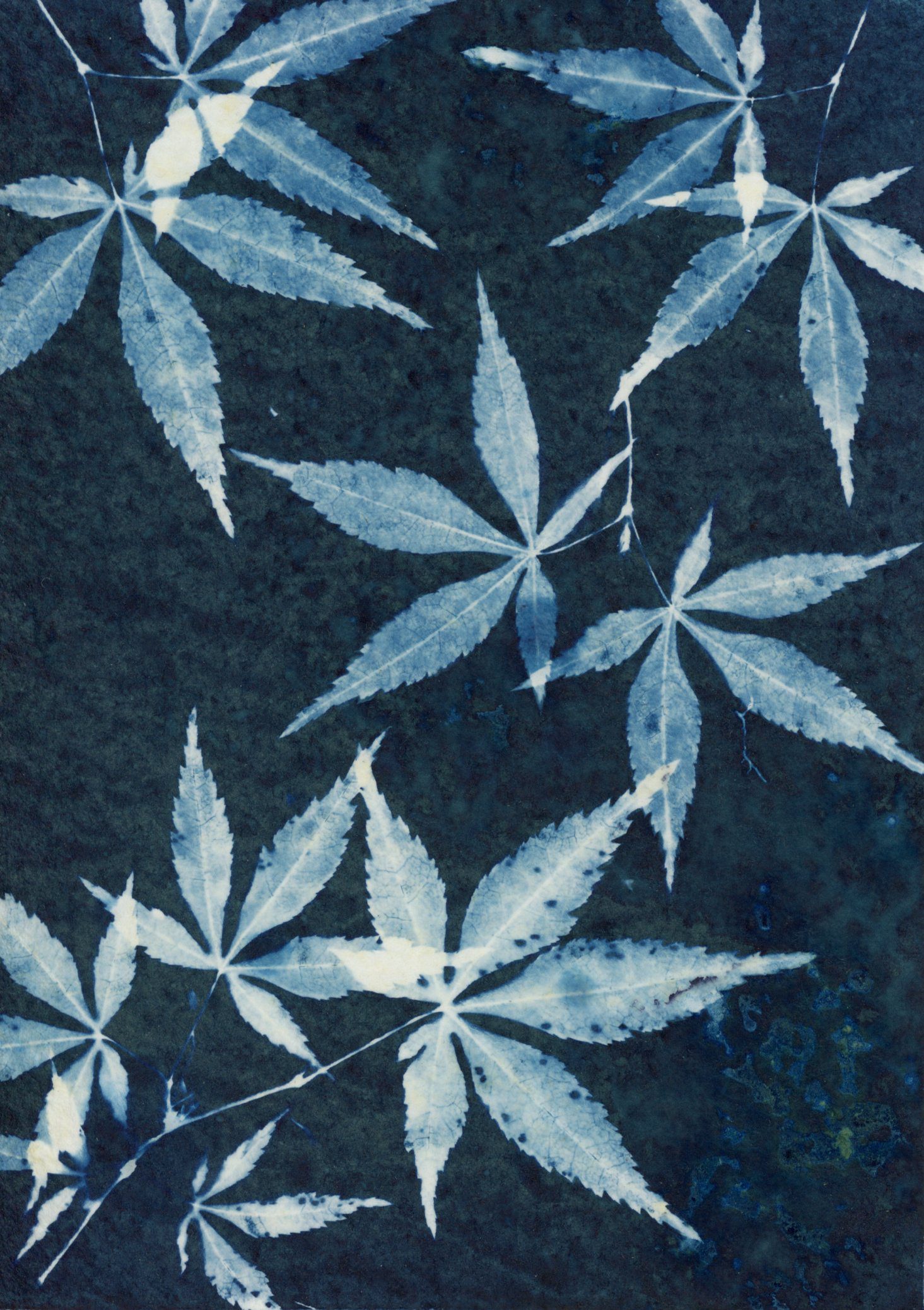 Artist-in-Residence: Wonders of Nature through Art in Winterthur’s ...