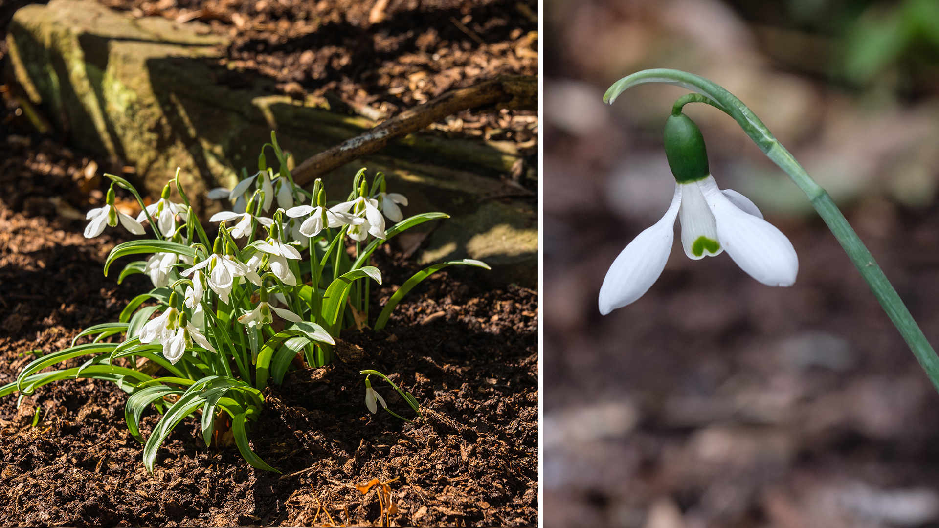 Wearing Its Winter White - Winterthur Museum, Garden & Library
