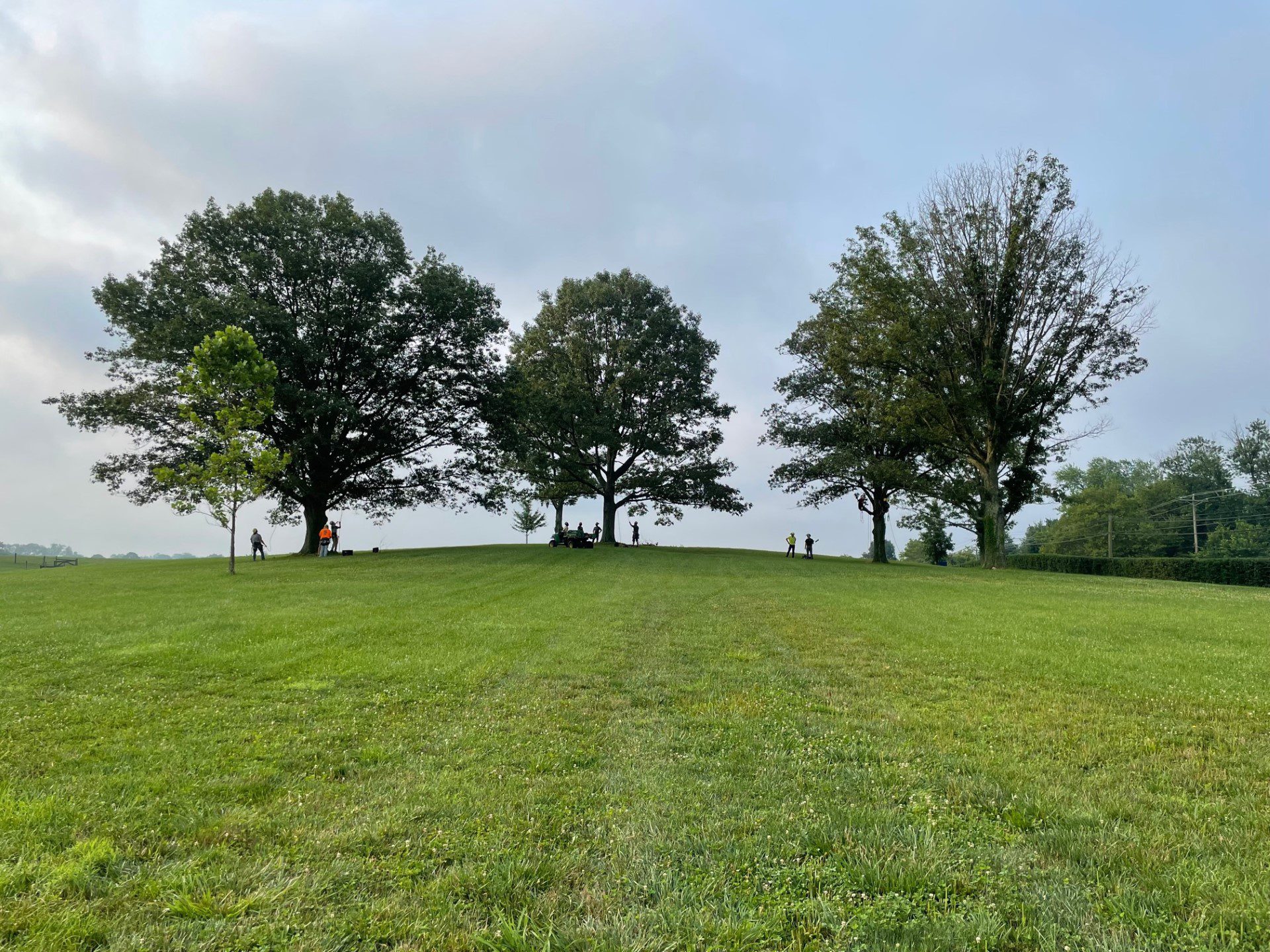 Learning the Ropes - Winterthur Museum, Garden & Library