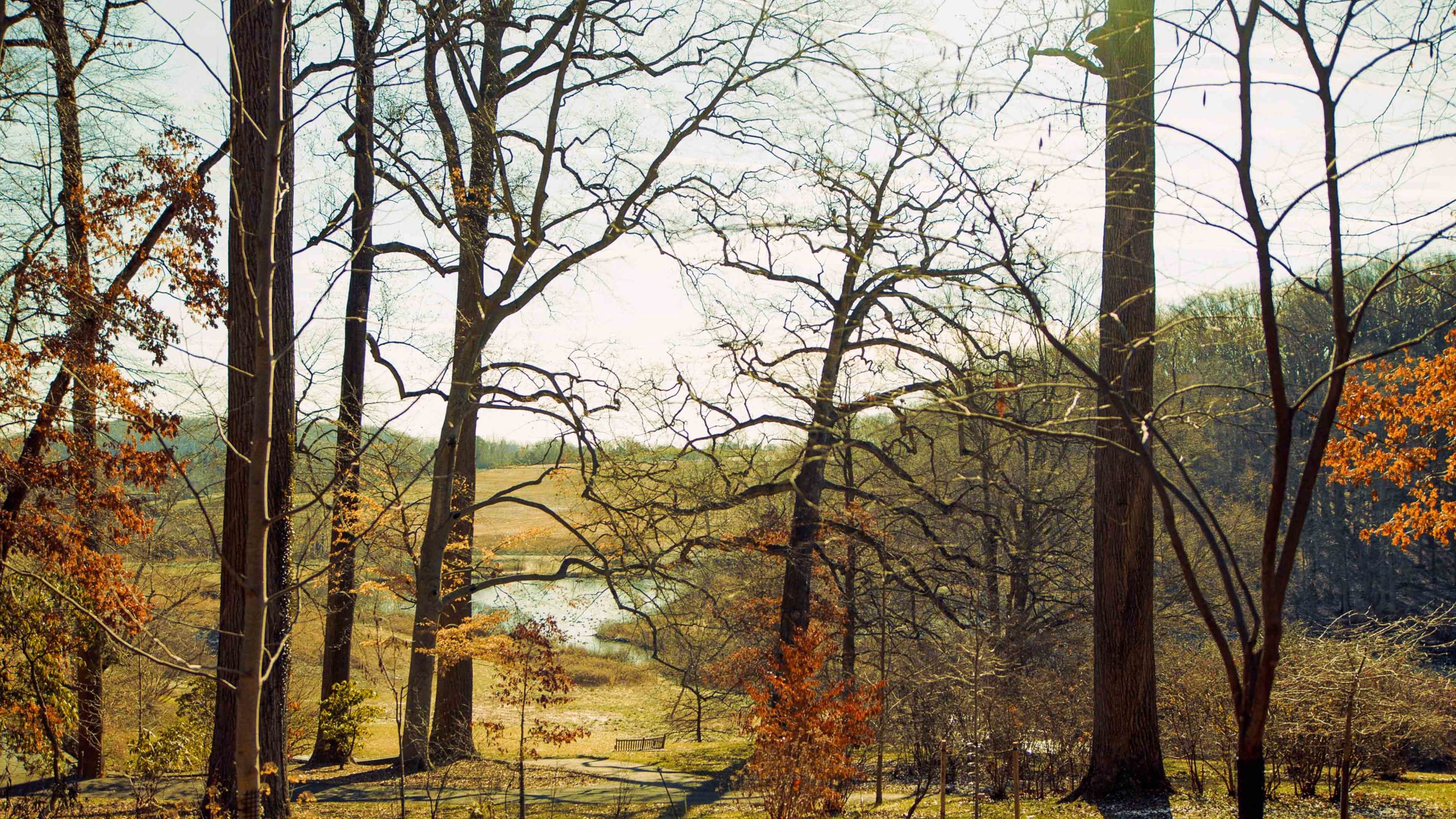 Wintertime at Winterthur - Winterthur Museum, Garden & Library