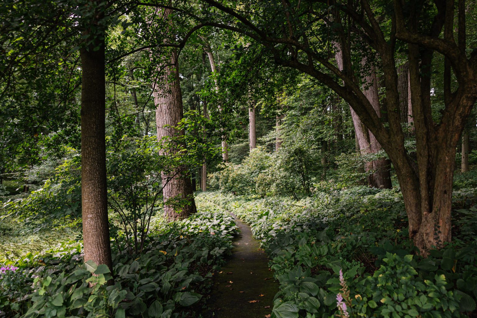 Upcoming Events – Winterthur Museum, Garden & Library