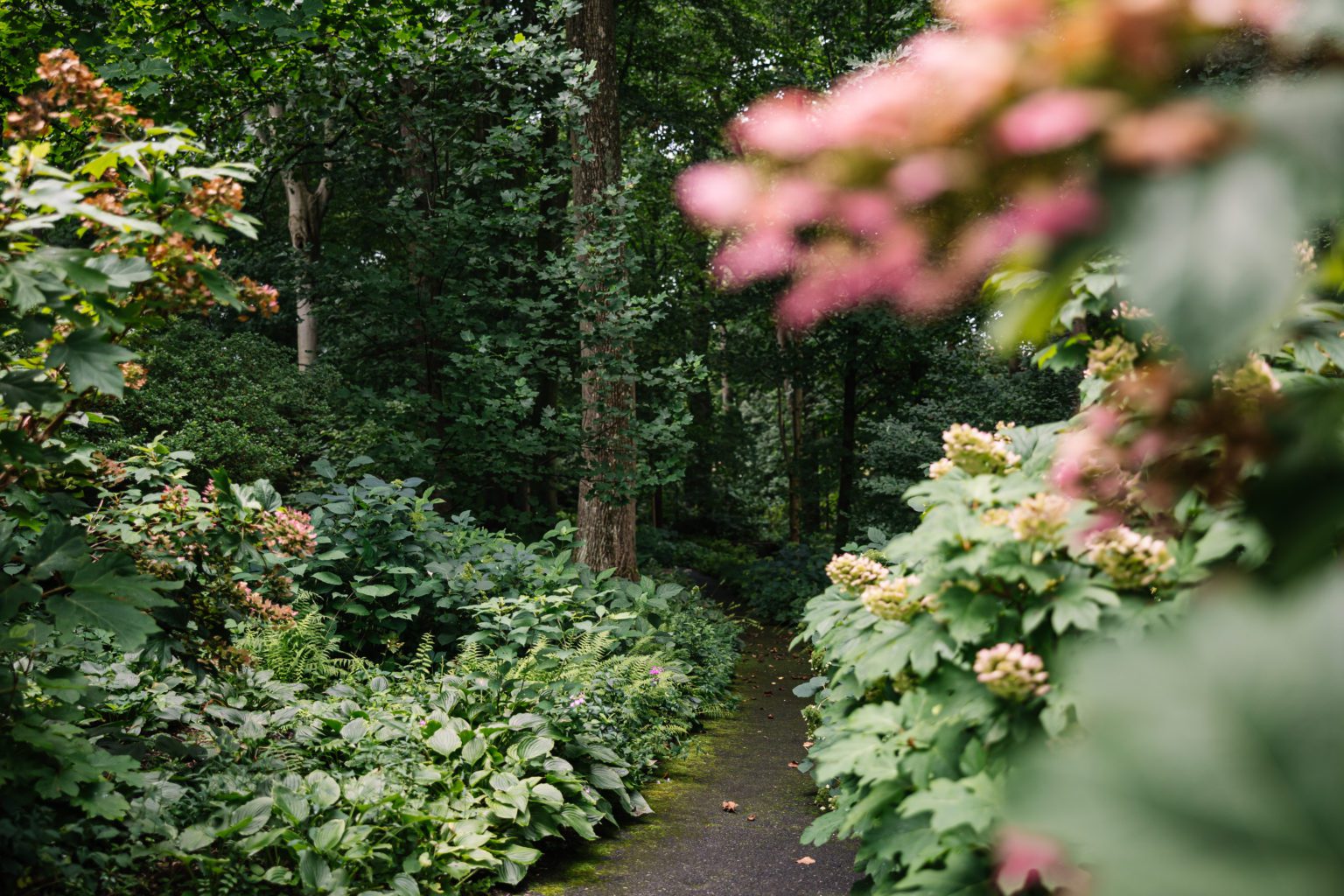 Plan Your Visit - Winterthur Museum, Garden & Library