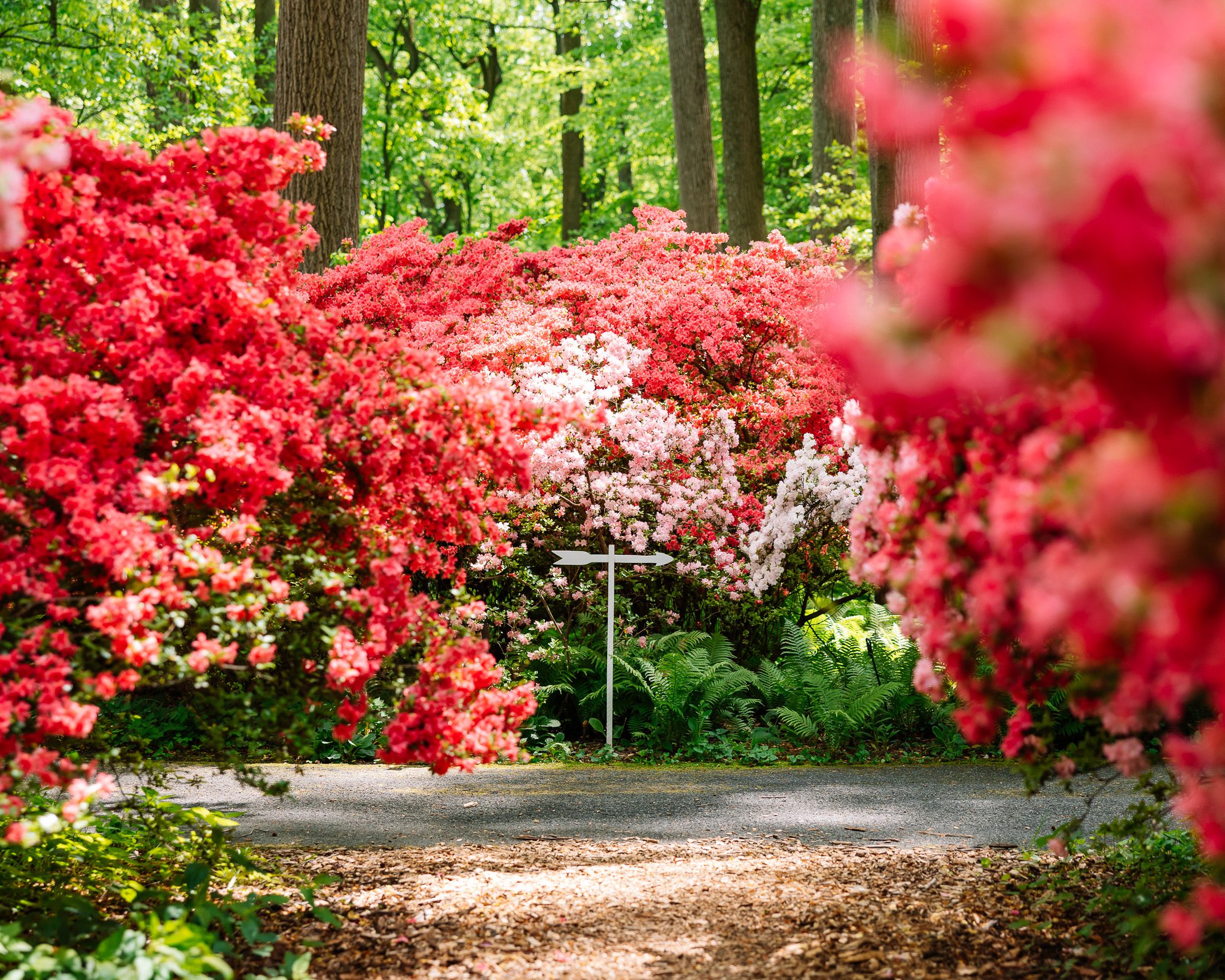 Home - Winterthur Museum, Garden & Library
