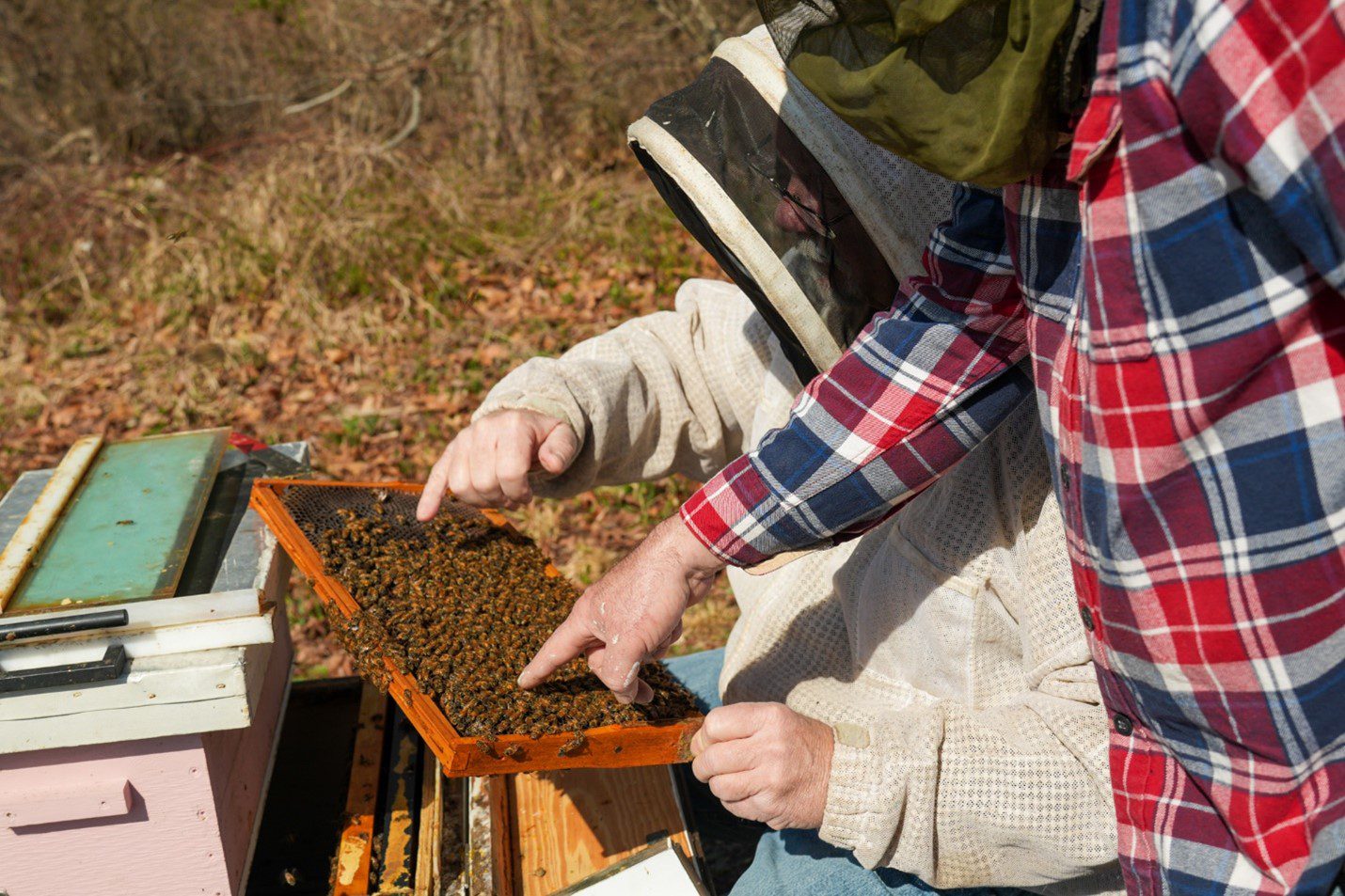 Revolutionizing Beekeeping: The Keeper’s Hive Story at Winterthur ...