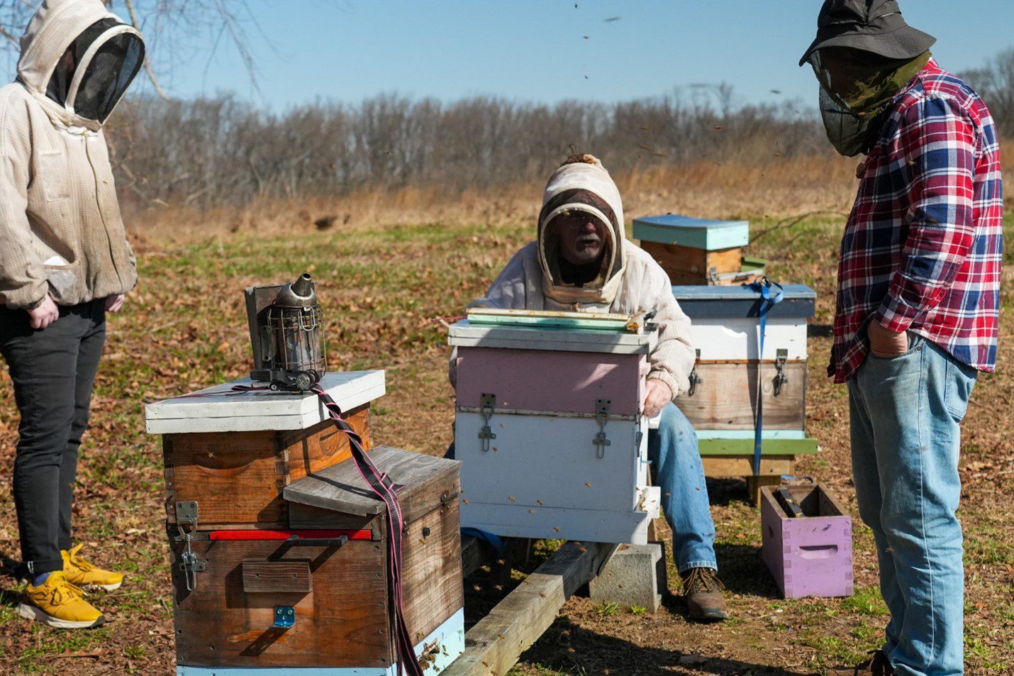 Revolutionizing Beekeeping: The Keeper’s Hive Story at Winterthur ...