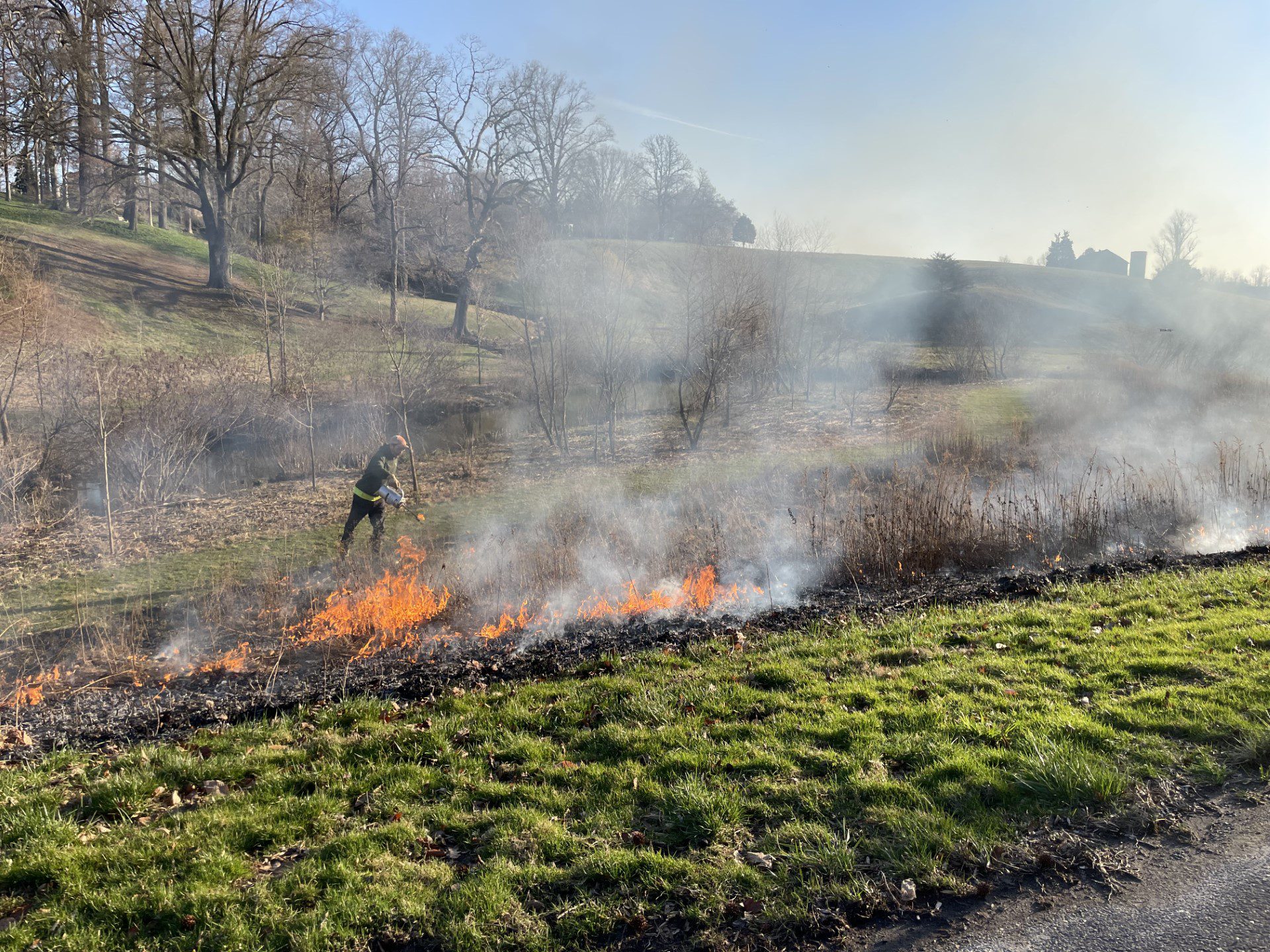 Prescribed Burn Ignites Life at Winterthur - Winterthur Museum, Garden ...