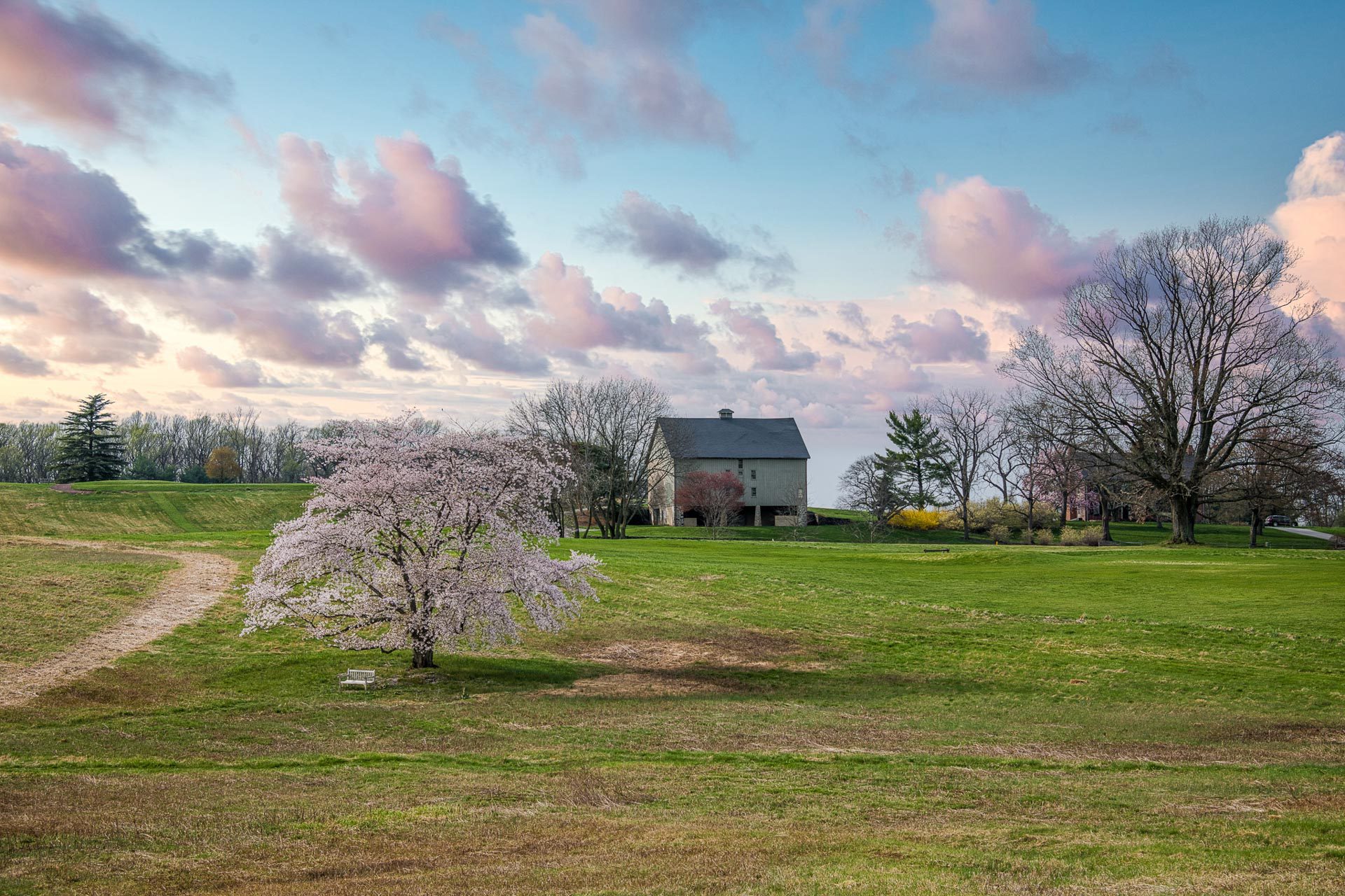 Spring Color in the Garden - Winterthur Museum, Garden & Library