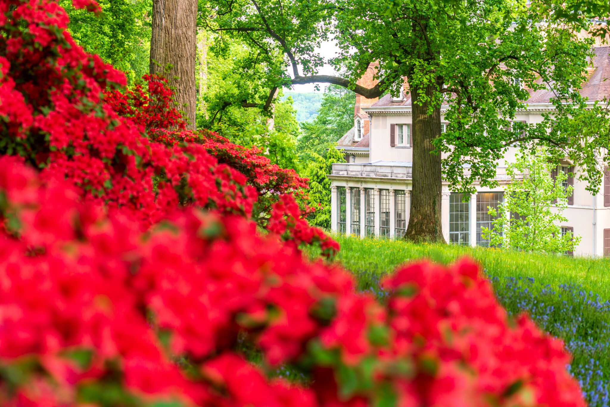 Plan Your Visit - Winterthur Museum, Garden & Library