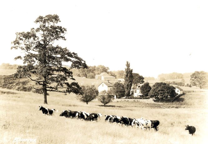 Garden & Estate Insider: Wander through Winterthur's Farm History ...